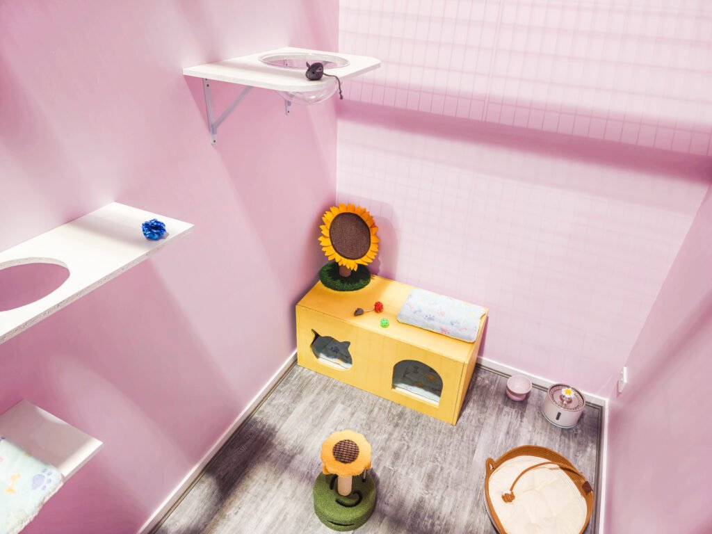 Neko Cat Hotel - Pamper Your Feline Friend: Explore the Pleasure with ...