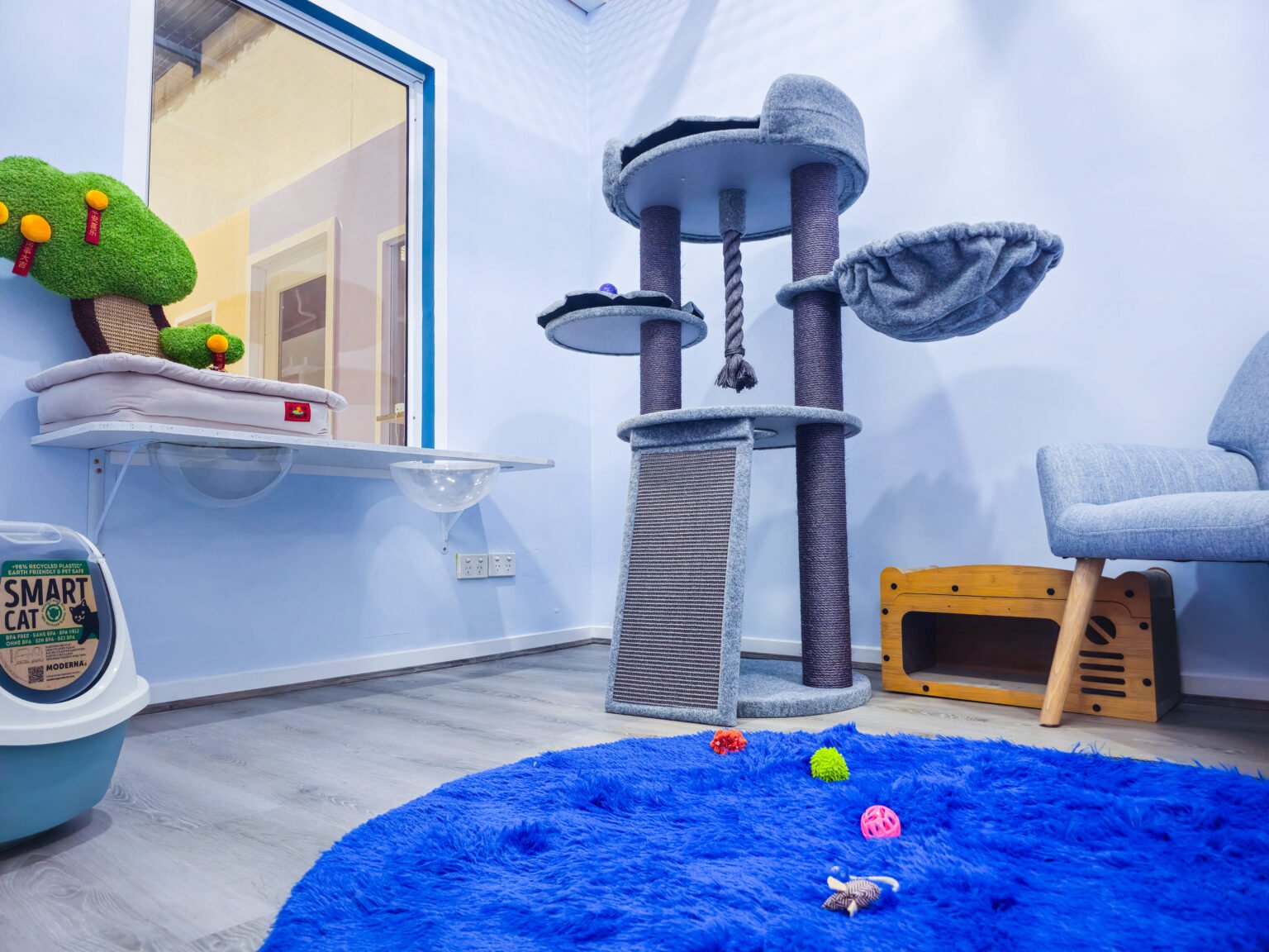 Neko Cat Hotel - Pamper Your Feline Friend: Explore the Pleasure with ...
